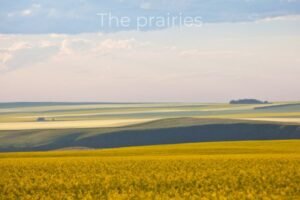 About Alberta - A Guide To Canada’s Wild West | Alberta Tourist