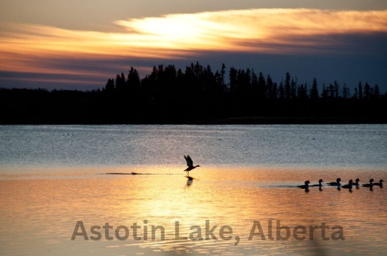 21 Of The Best Tourist Attractions In Edmonton Alberta | Alberta Tourist