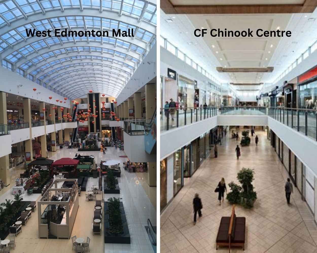 Calgary Vs Edmonton: Which City Is Best For You? | Alberta Tourist